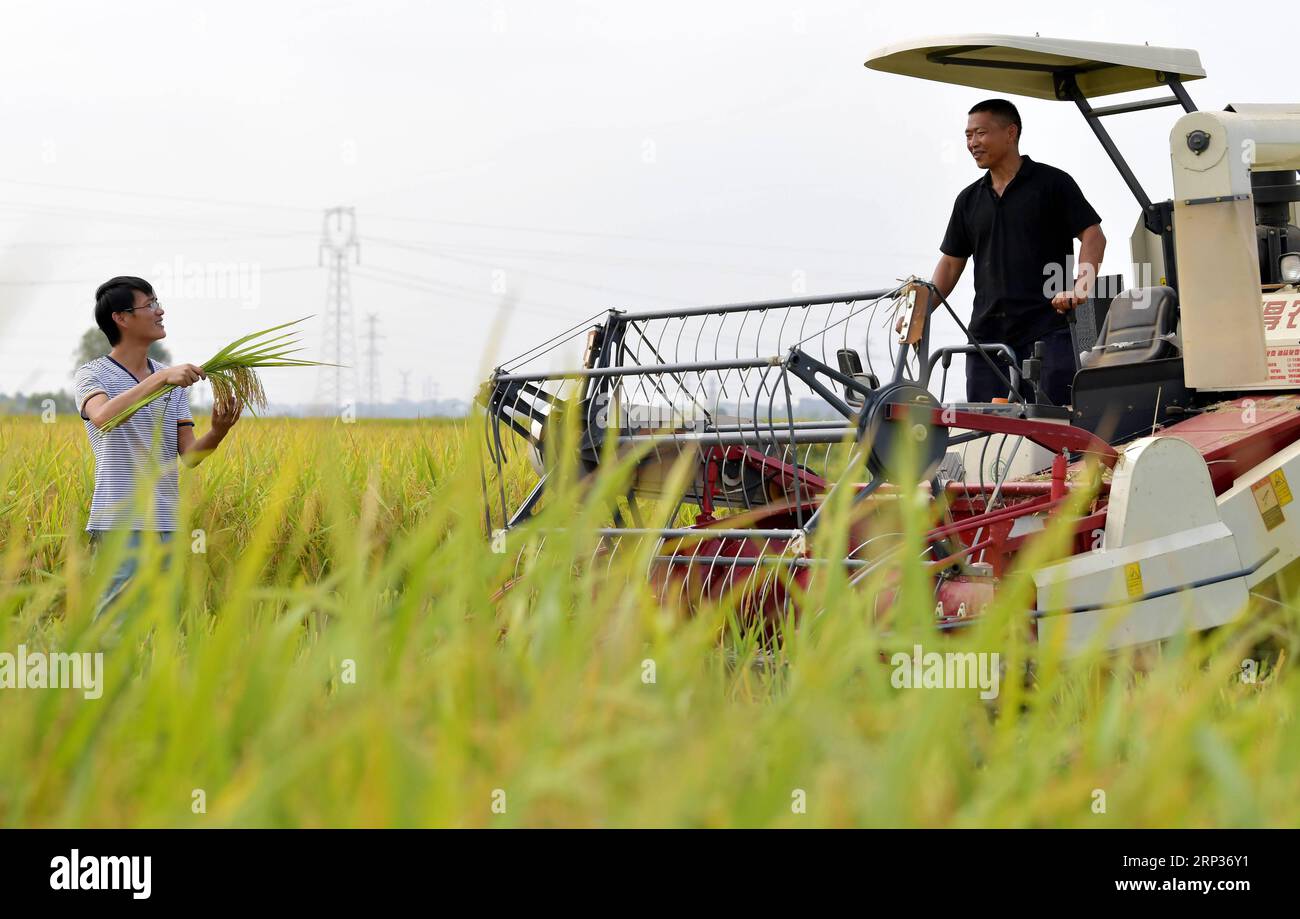 Zhoubiao hi-res stock photography and images - Alamy