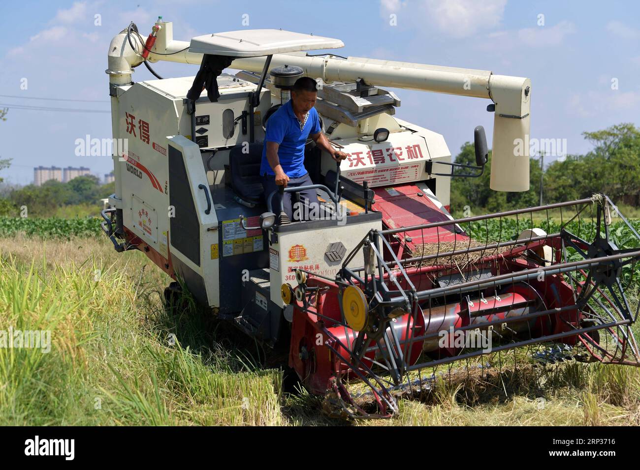 (180922) -- NANCHANG, Sept. 22, 2018 -- Zhou Xiaolin drives his combine ...