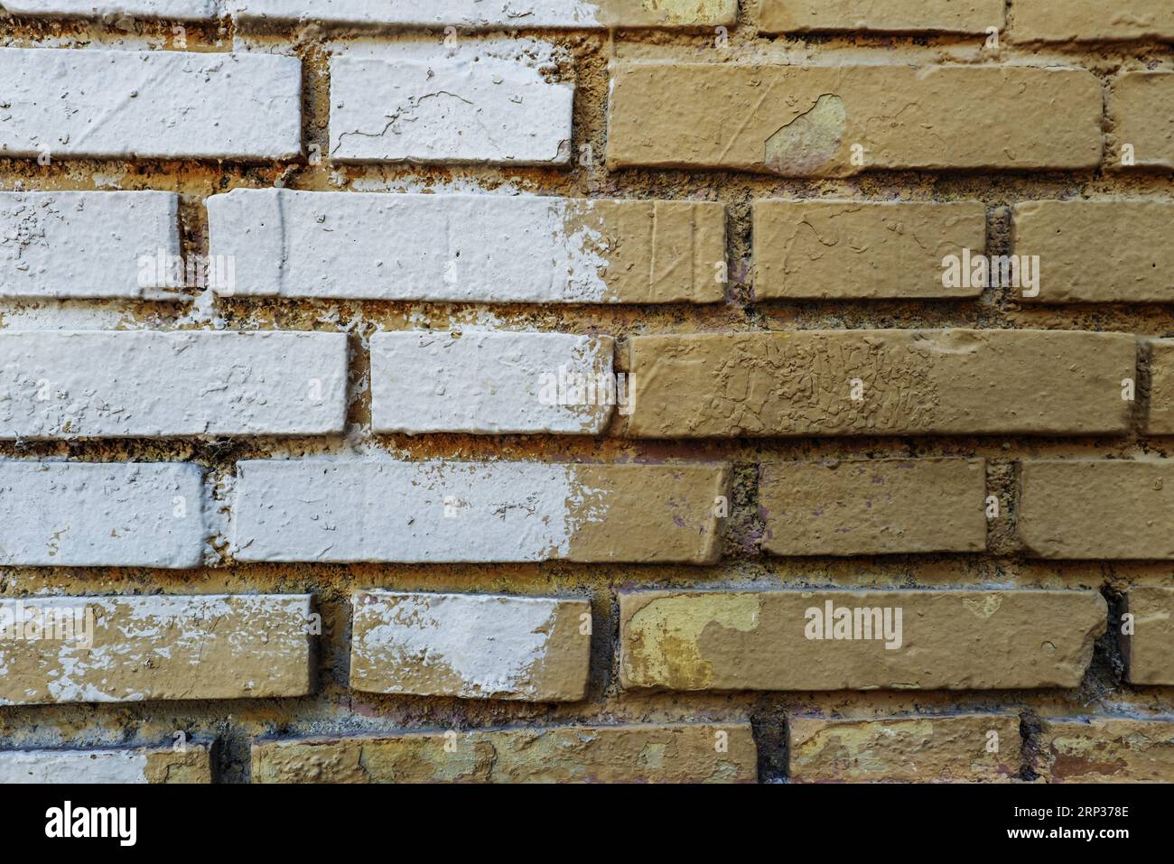 A brick wall painted in two colors. Vector brick texture background ...