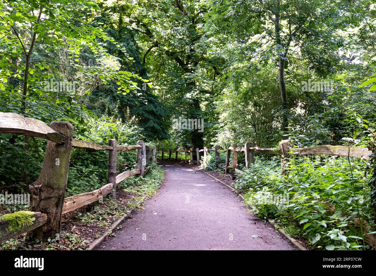 Scary walkway hi-res stock photography and images - Alamy