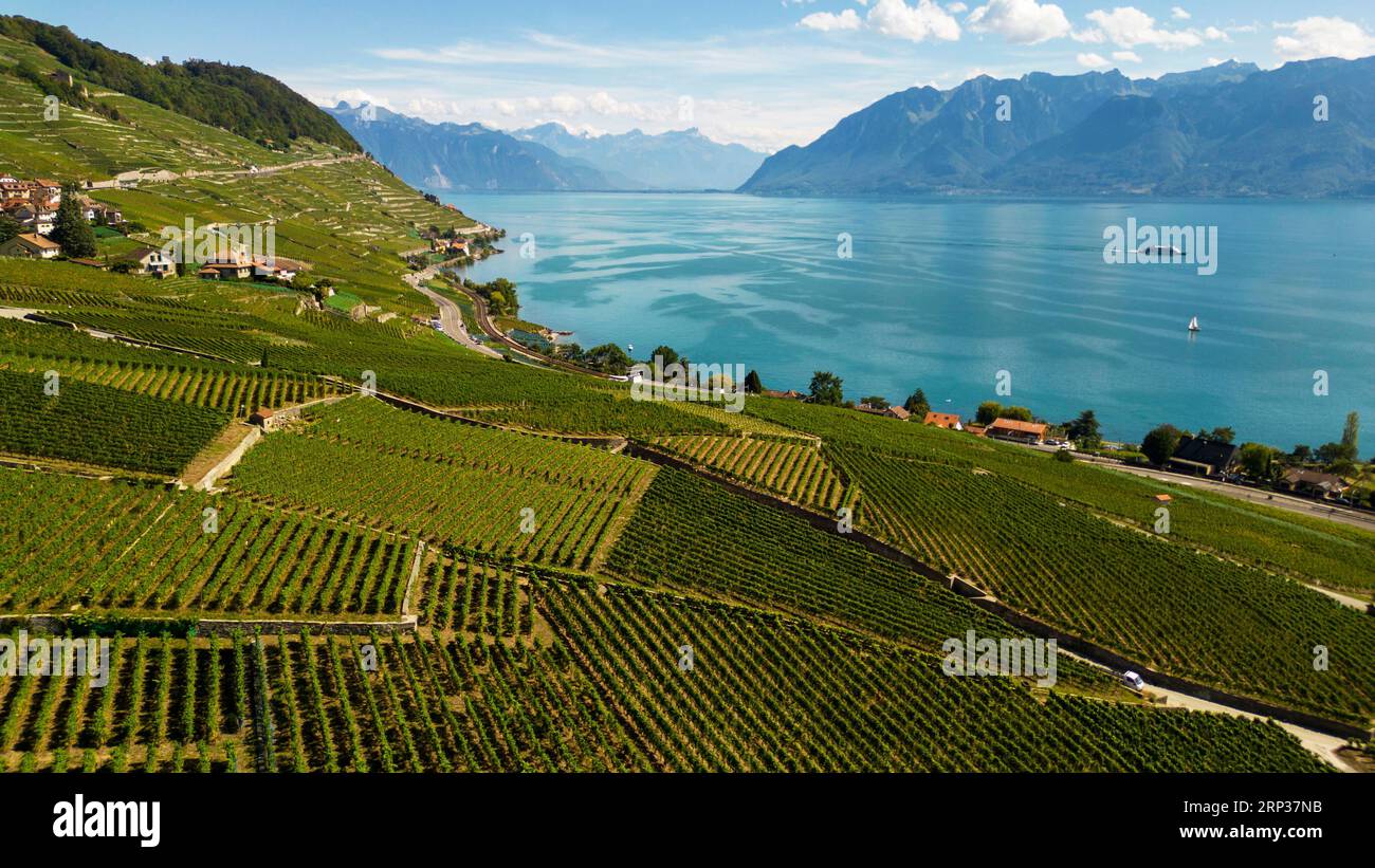 Lavaux terraced vineyards, UNESCO World Heritage site since 2007 ...