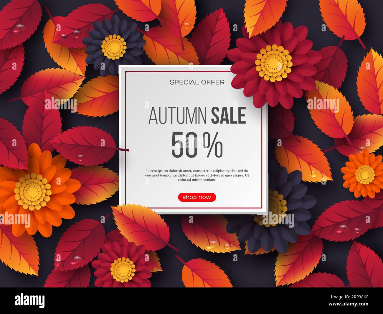 Autumn sale banner with 3d leaves, flowers and water drops. Violet ...