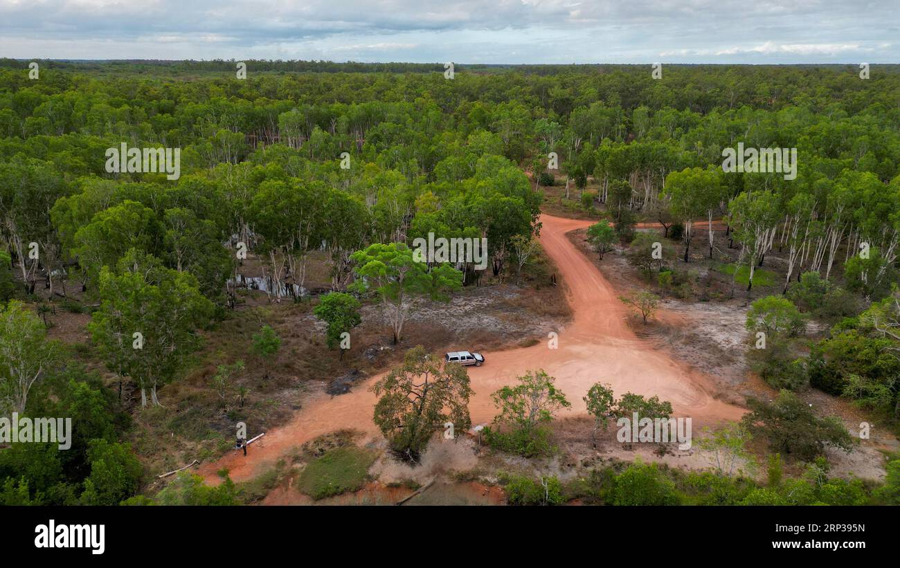 Aerial view of remote Queensland bush wih trees and orange sand Stock ...