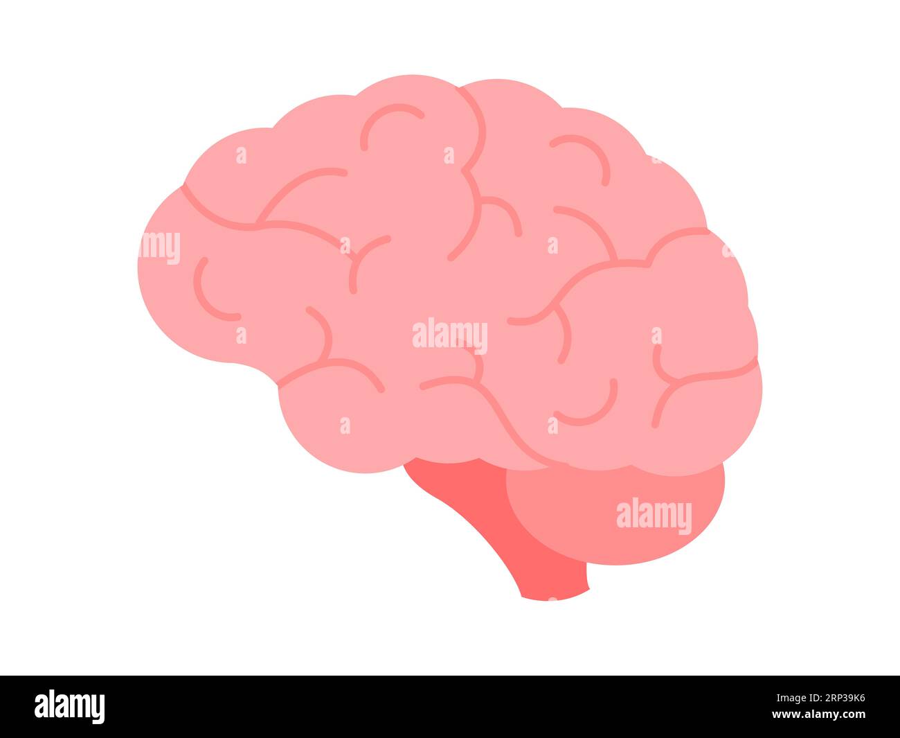 Brain icon. Human brain graphic with stem and cerebellum. Convolutions ...