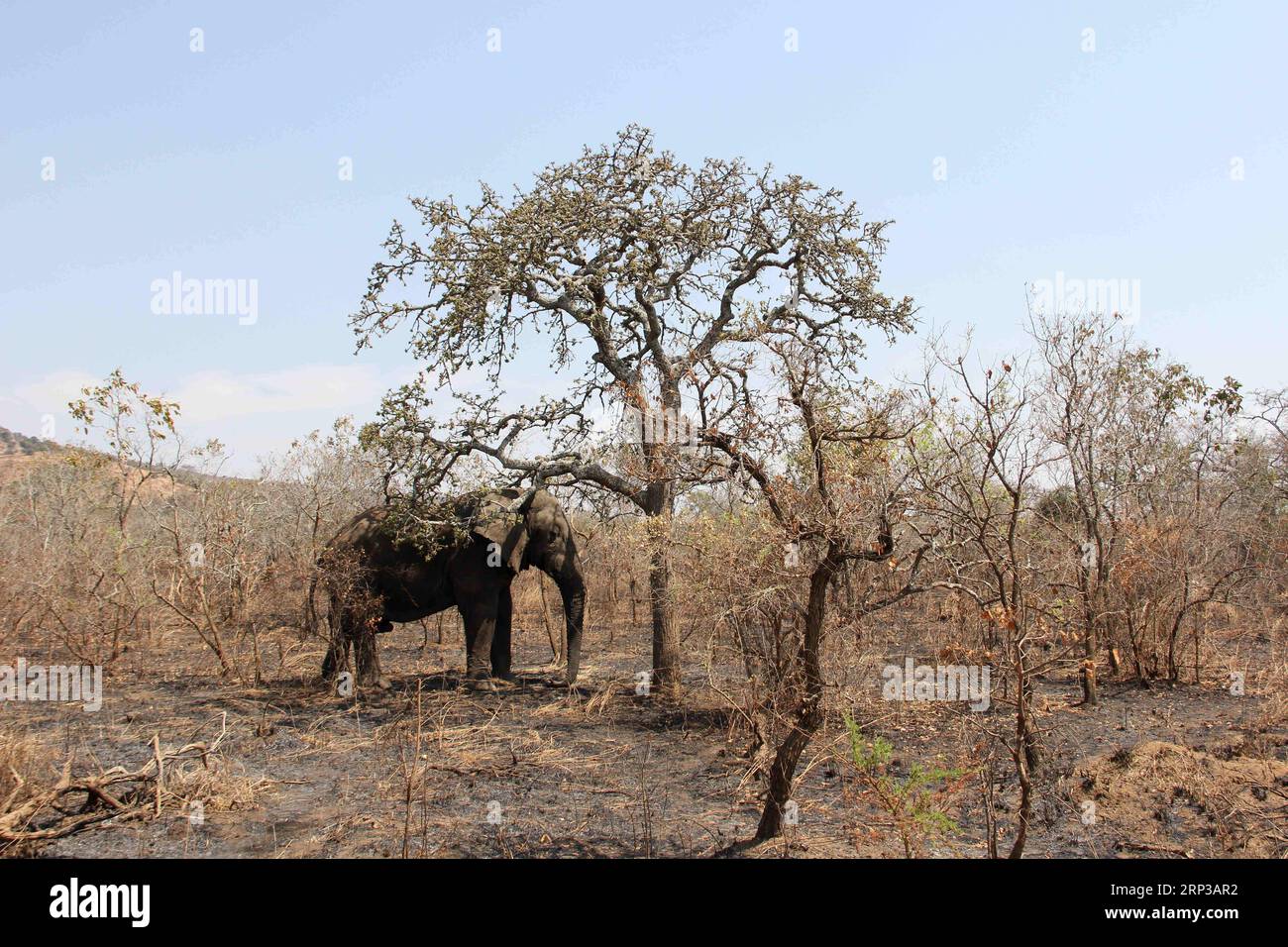 (180928) -- KIGALI, Sept. 28, 2018 -- File photo taken on July. 23 ...