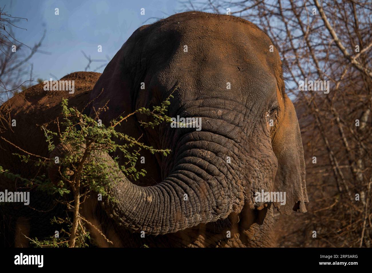 (180928) -- KIGALI, Sept. 28, 2018 -- File photo taken on Aug. 30, 2016 ...