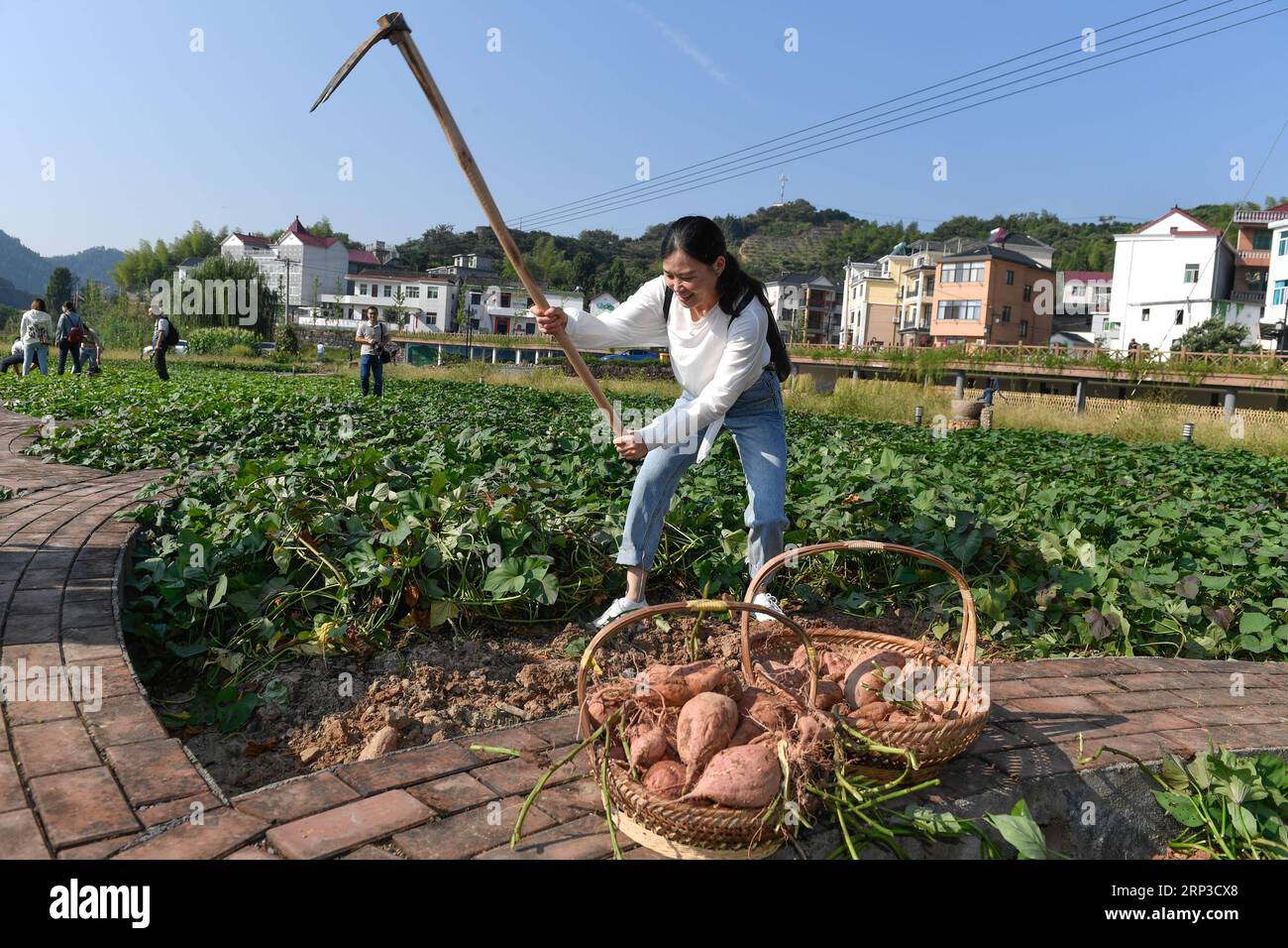 A digging township hi-res stock photography and images - Alamy