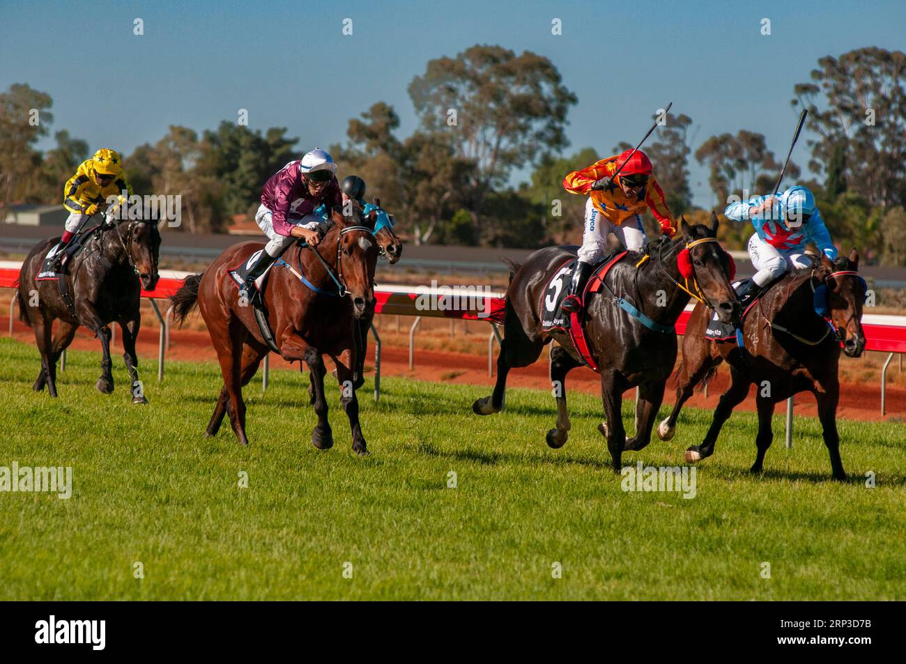Female jockeys australia hi-res stock photography and images - Alamy