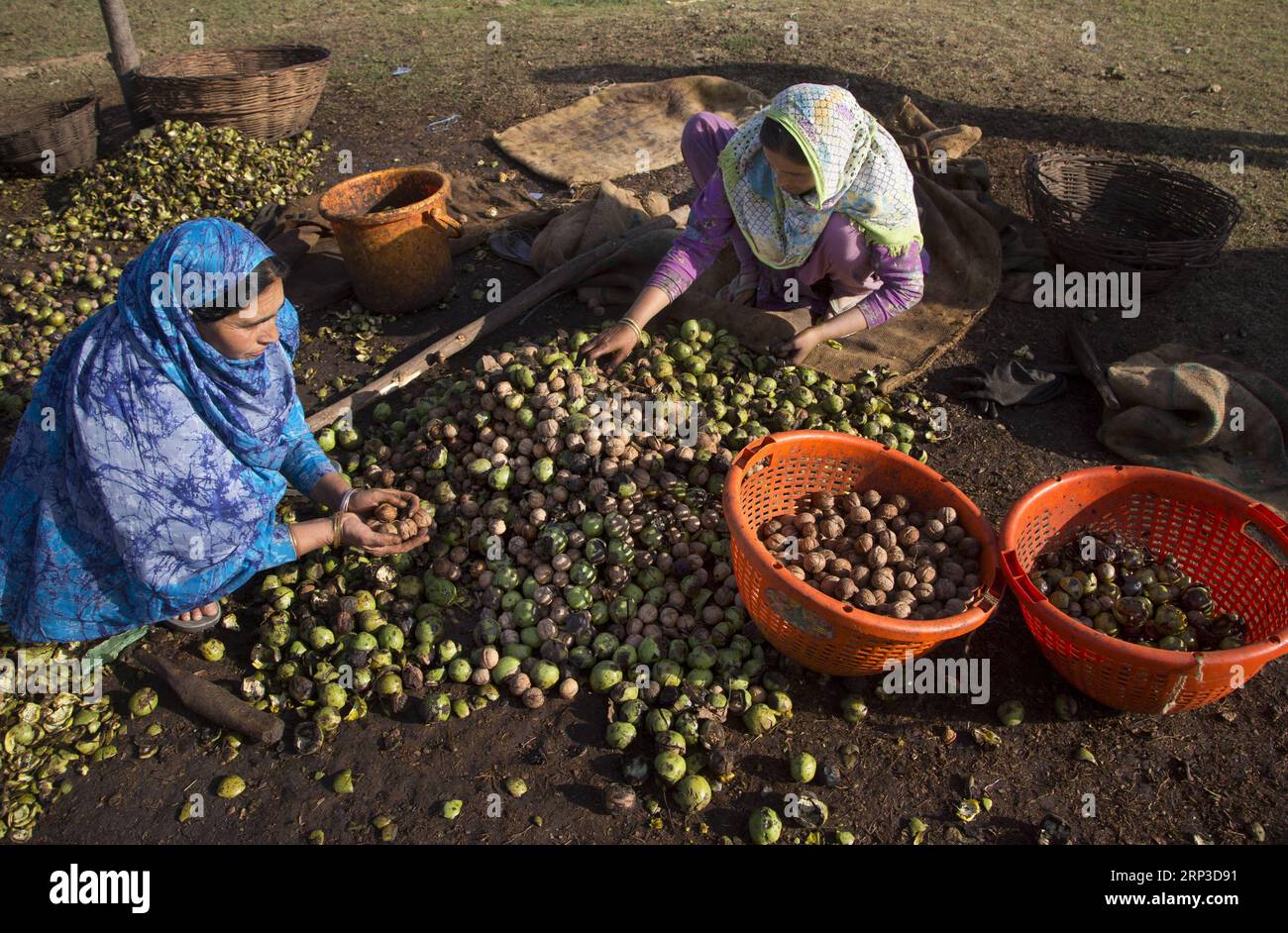 Kashmiri walnuts hi-res stock photography and images - Alamy
