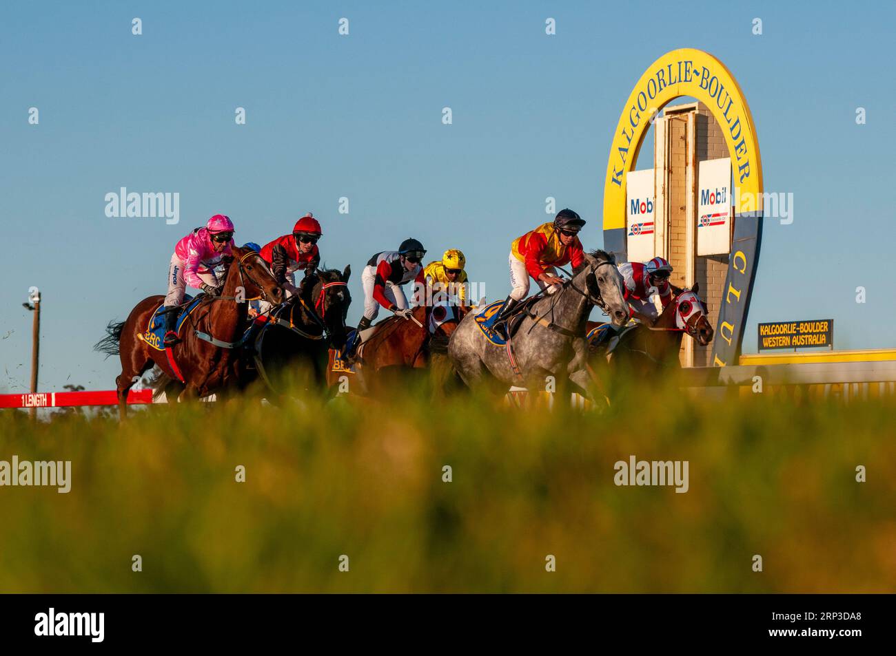 Australian horse riding hi-res stock photography and images - Alamy