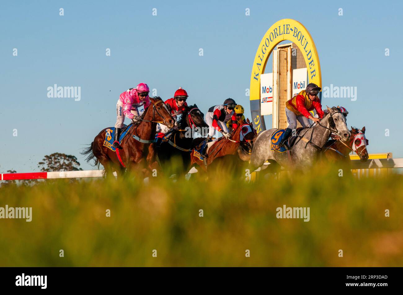 Female jockeys australia hi-res stock photography and images - Alamy