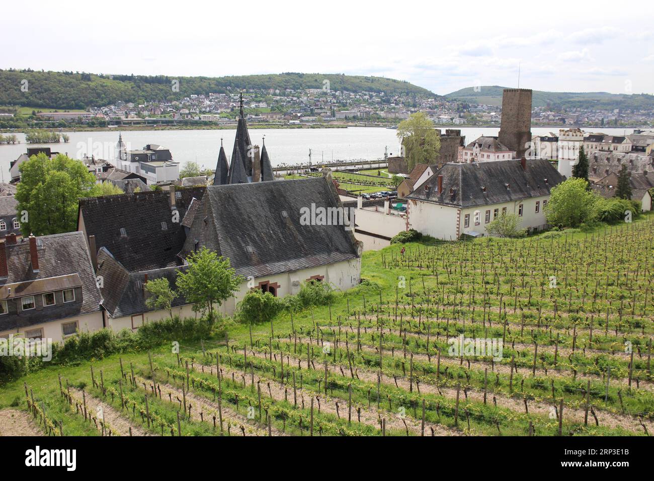 Rudesheim am rhein germany hi-res stock photography and images - Alamy