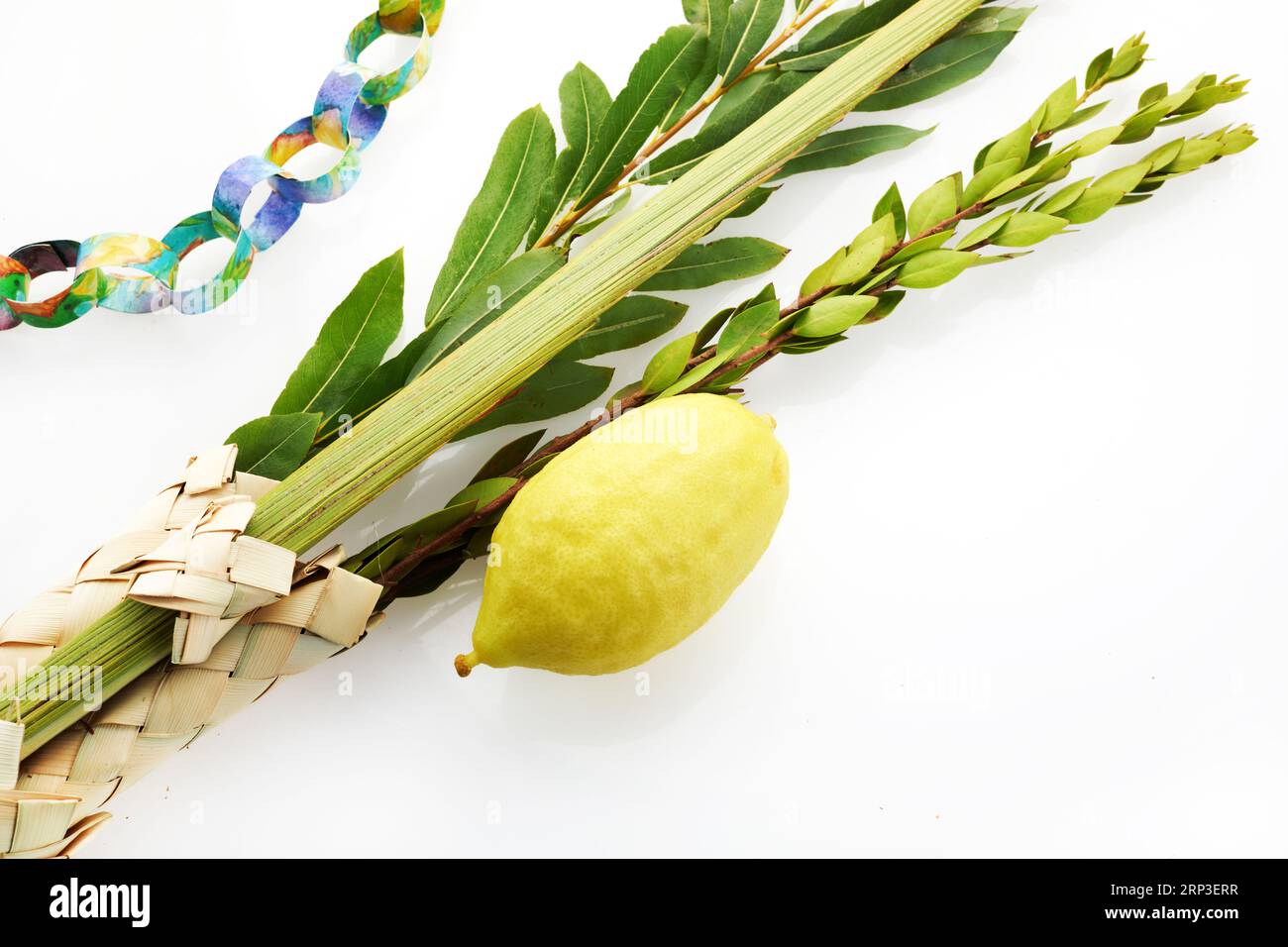 Jewish festival of Sukkot. Sukkot traditional symbols. Four species ...