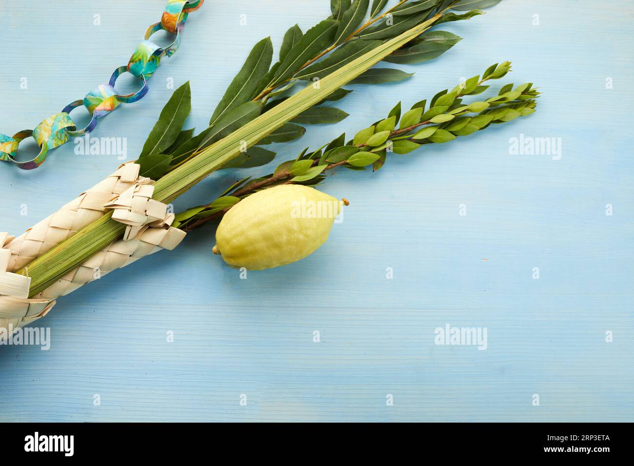 Jewish festival of Sukkot. Sukkot traditional symbols. Four species ...
