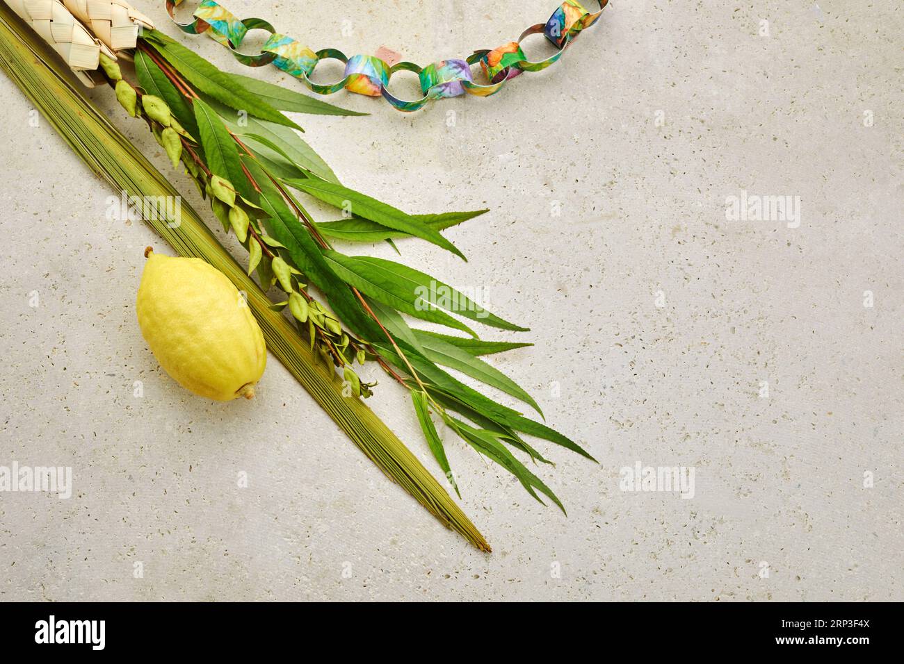 Jewish festival of Sukkot. Sukkot traditional symbols. Four species ...