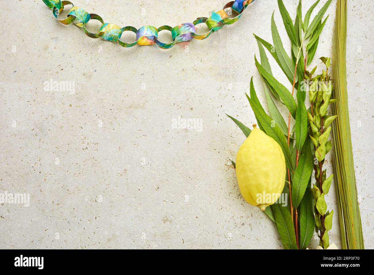 Jewish festival of Sukkot. Sukkot traditional symbols. Four species ...