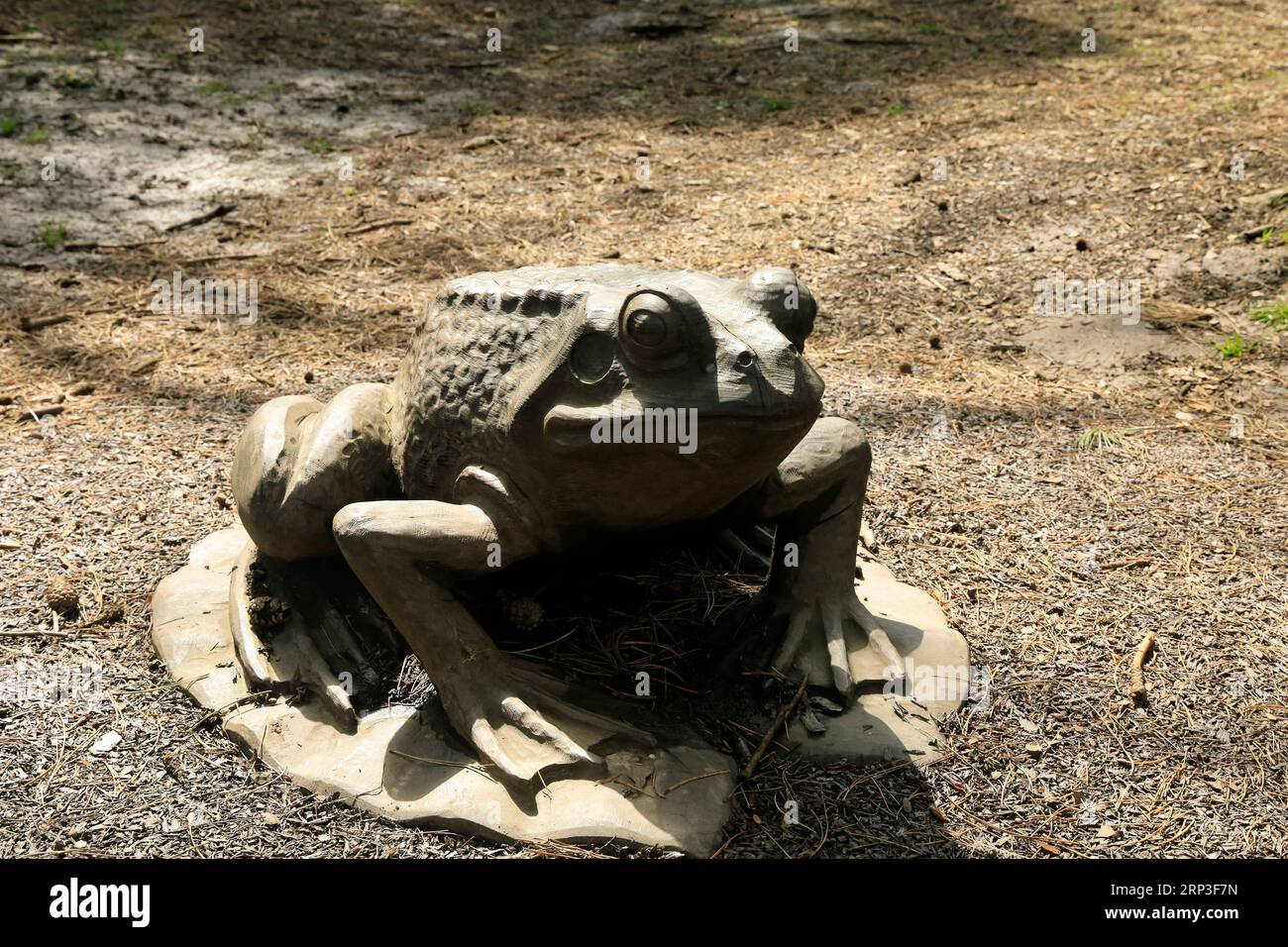 Carved wooden model of a giant frog on a lily pad. Cooper's Field, Bute ...