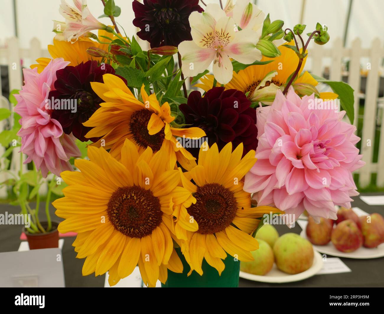 Country show flowers hi-res stock photography and images - Alamy