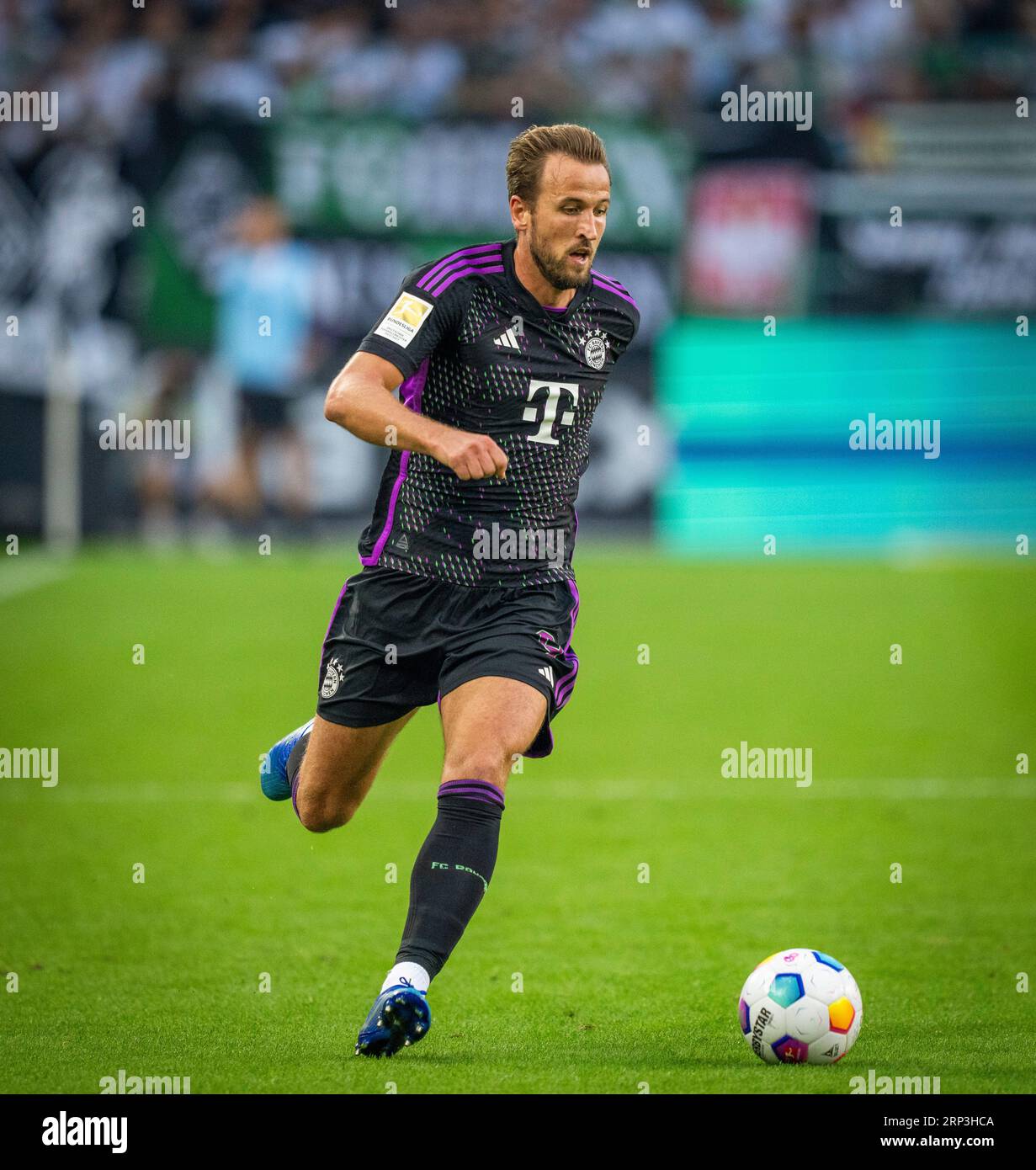 Harry kane bayern münchen hi-res stock photography and images - Alamy