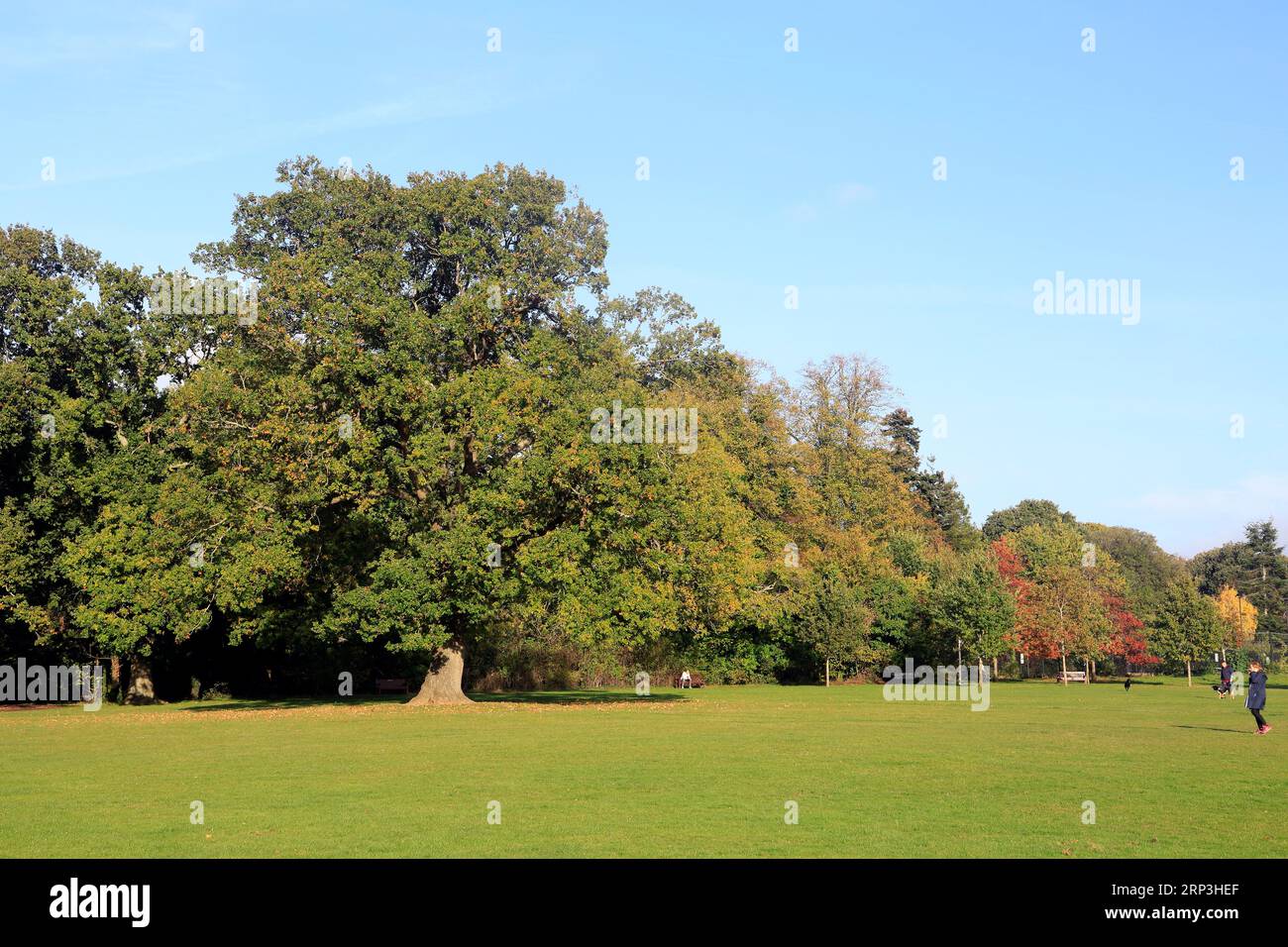 Public heath hi-res stock photography and images - Alamy