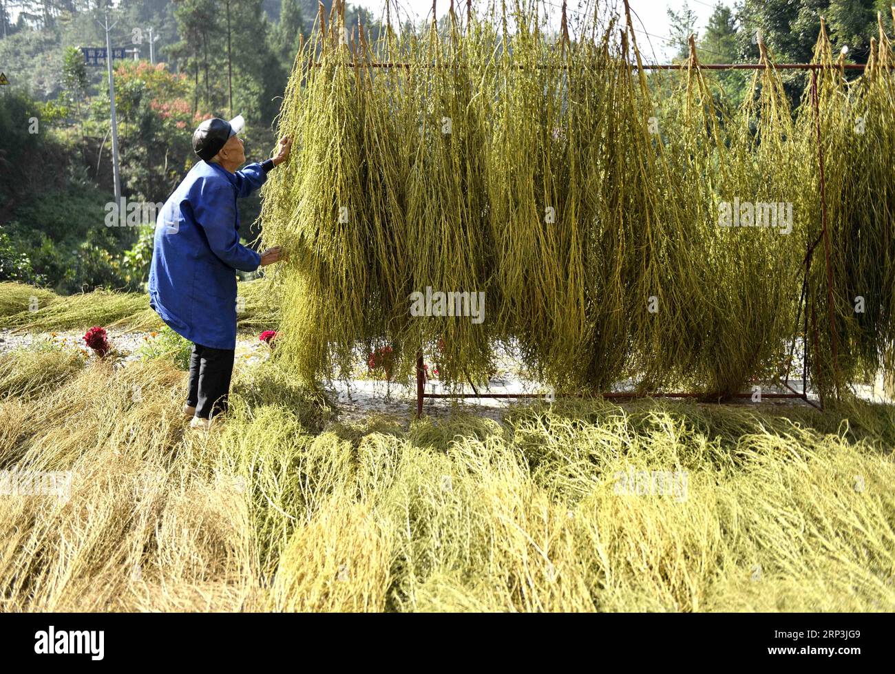 Income levels hi-res stock photography and images - Alamy