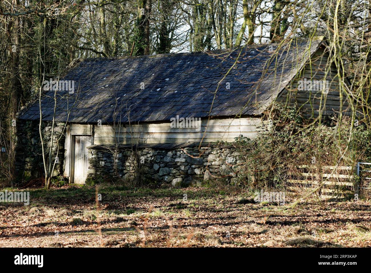 Hendre-wen Barn, Saint Fagans National Museum of History Stock Photo ...