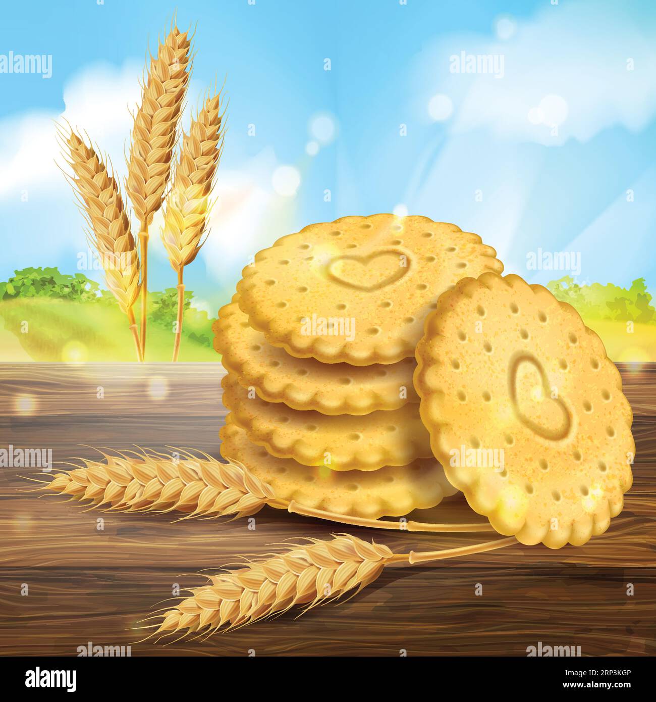 Vector realistic wheat cookies packaging ad. 3d round biscuits ...