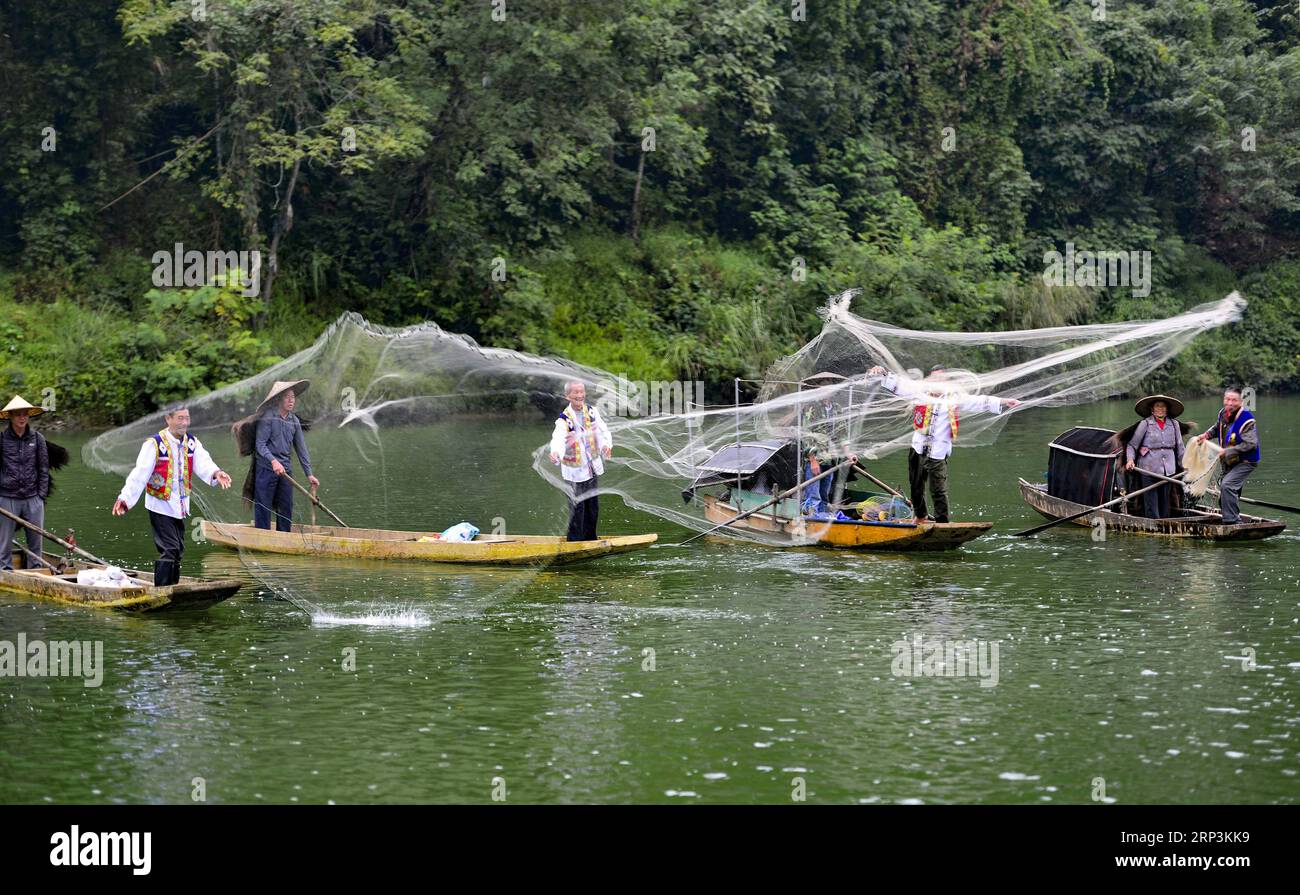 (181010) -- GUILIN, Oct. 10, 2018 -- People catch fish with fishing ...