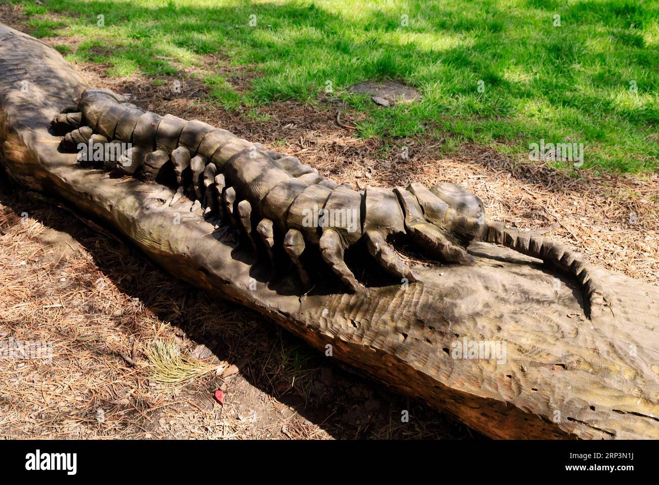 Carved wooden animal sculpture as art installations in Bute Park ...