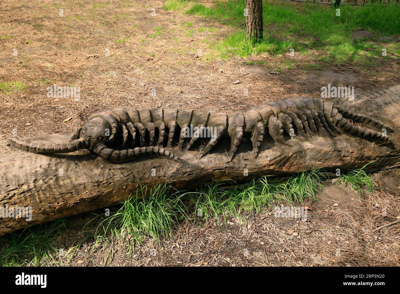 Carved wooden animal sculpture as art installations in Bute Park ...