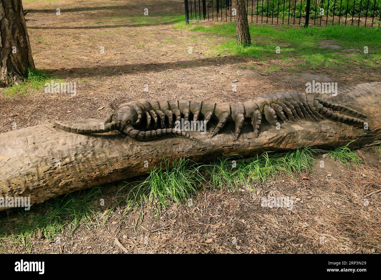 Carved wooden animal sculpture as art installations in Bute Park ...