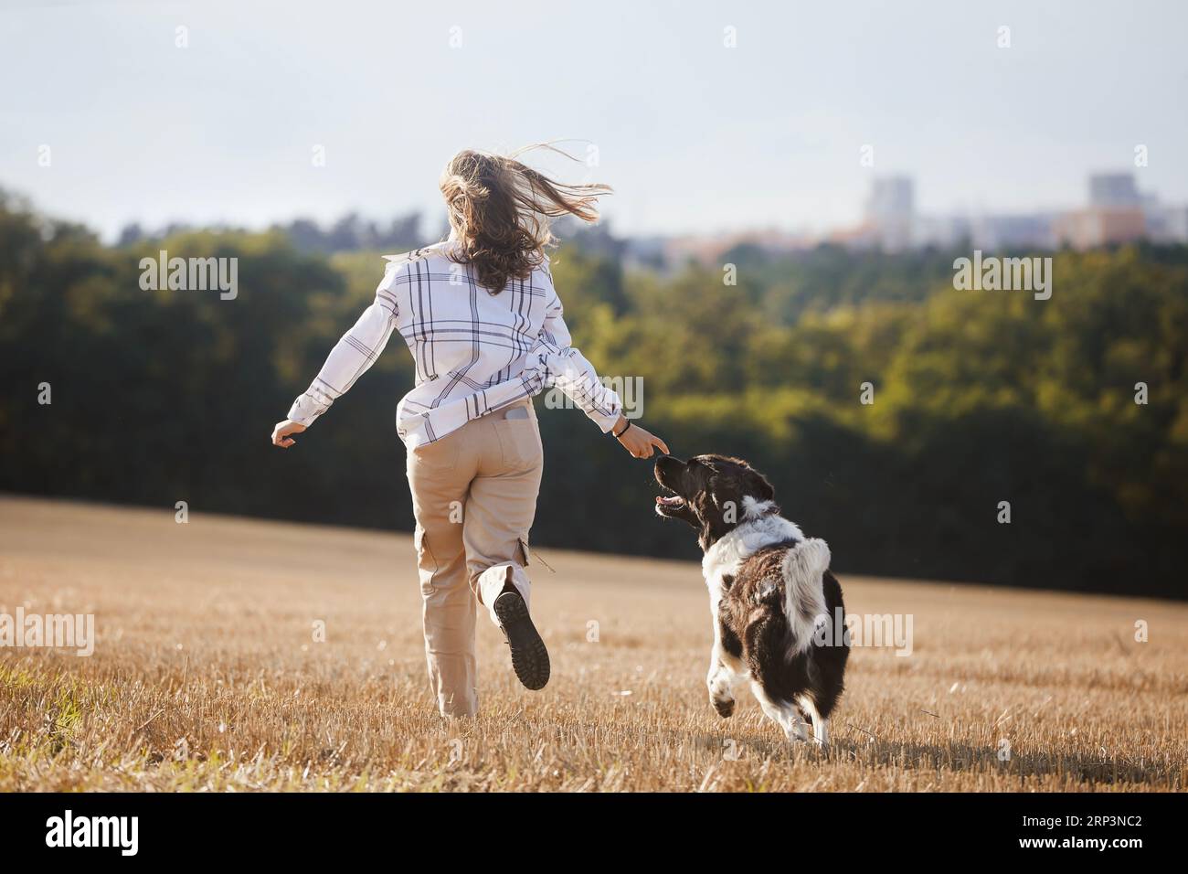 Rear view of happy teen girl running with her dog across field against ...