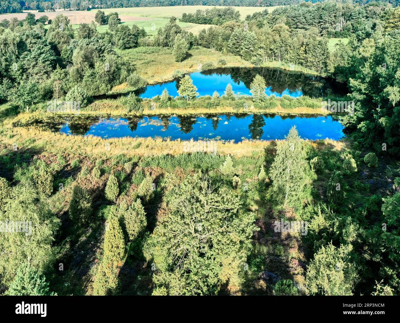 Aerial view of blue shimmering small lake with two water zones in heath ...