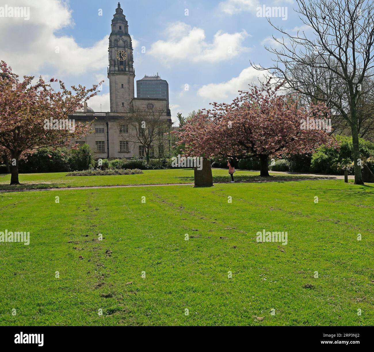 cherry blossom in Alexandra Park. Cardiff City Hall / Cathays Park ...