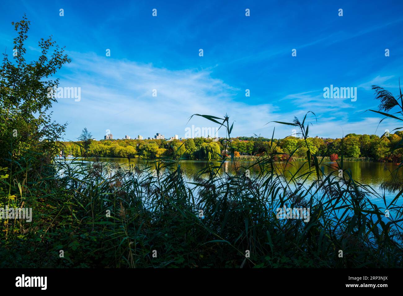 Germany, Stuttgart panorama view colorful trees at beach of max eyth ...