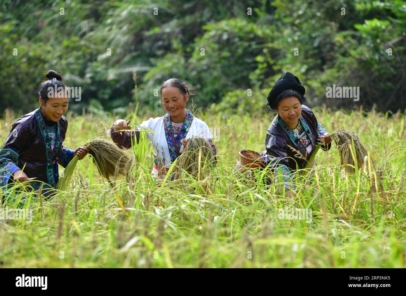 Allevi village hi-res stock photography and images - Alamy