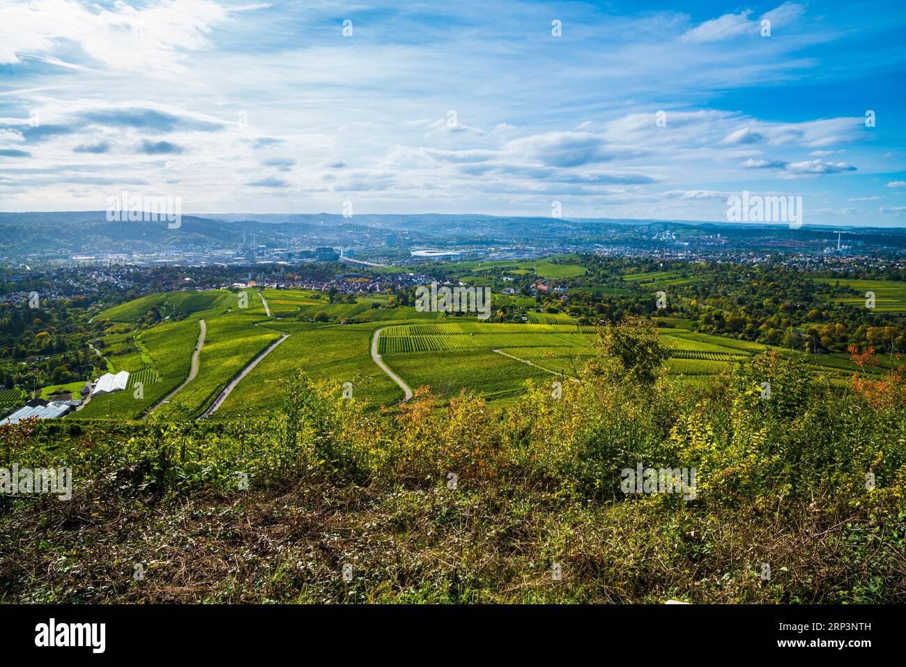 Germany, Stuttgart urban city skyline vineyard panorama view autumn ...