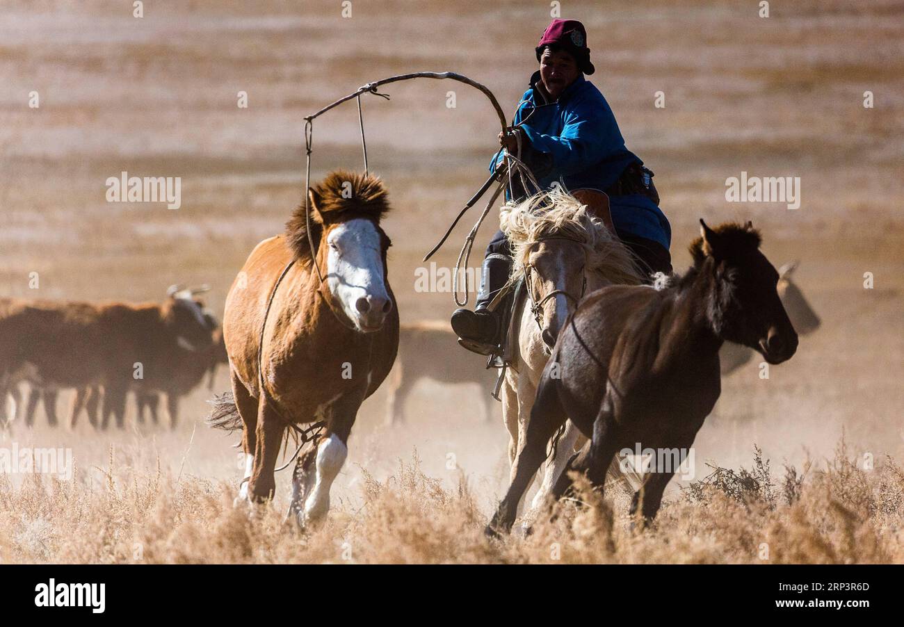 Lassoes hi-res stock photography and images - Alamy