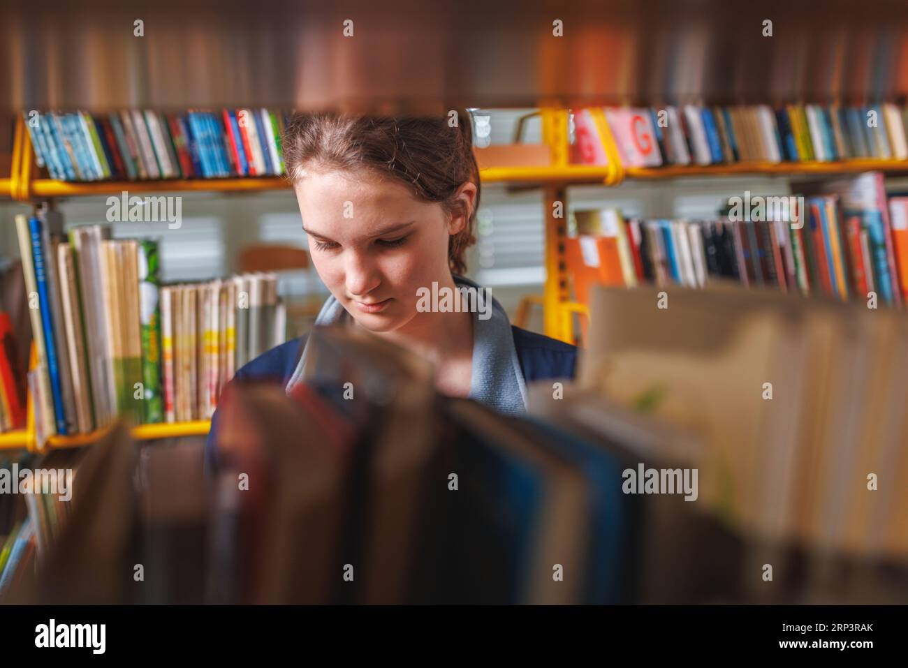 Schoolgirl searching and choosing books from a bookshelf in the library ...