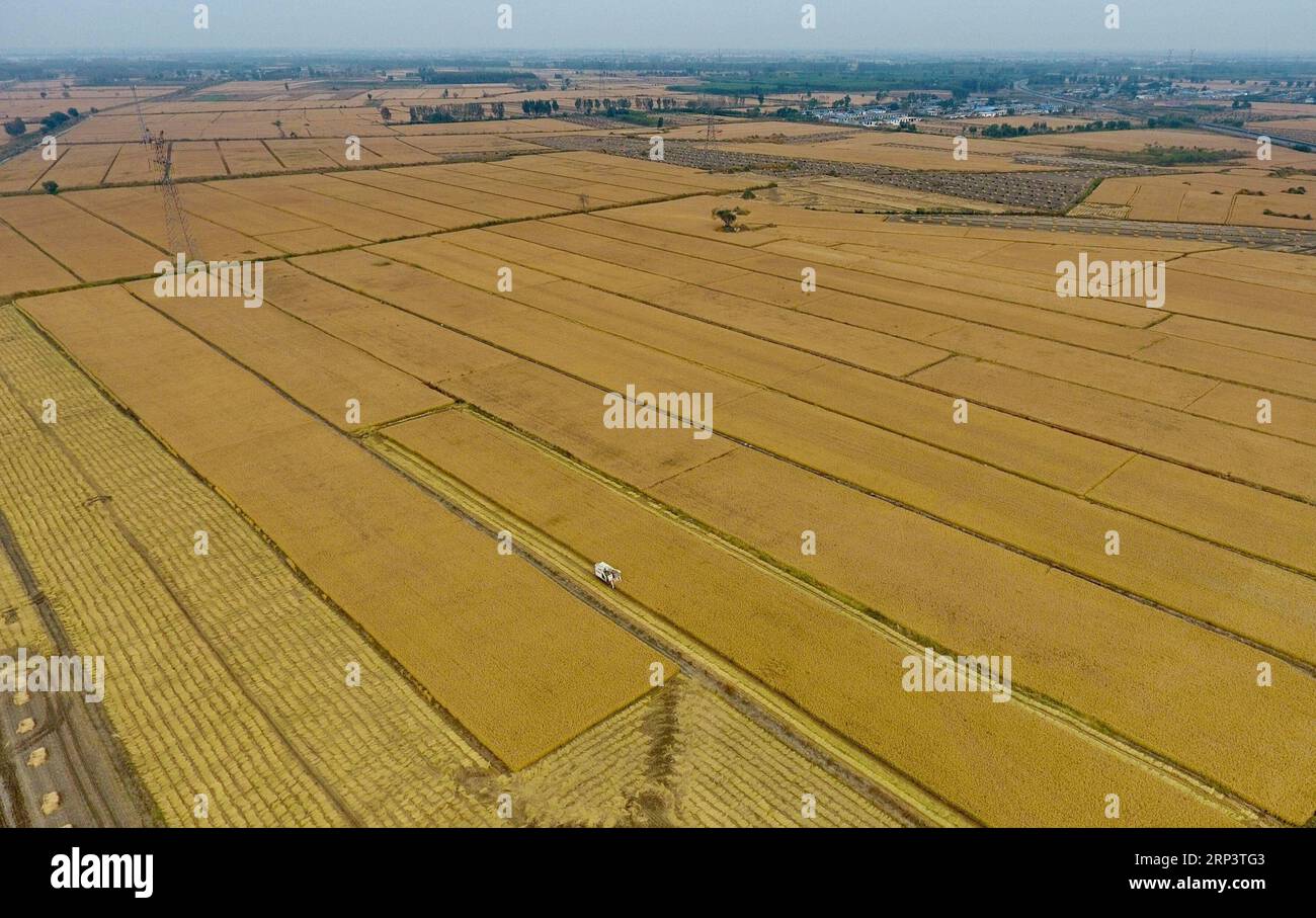 Yangshiyao hi-res stock photography and images - Alamy