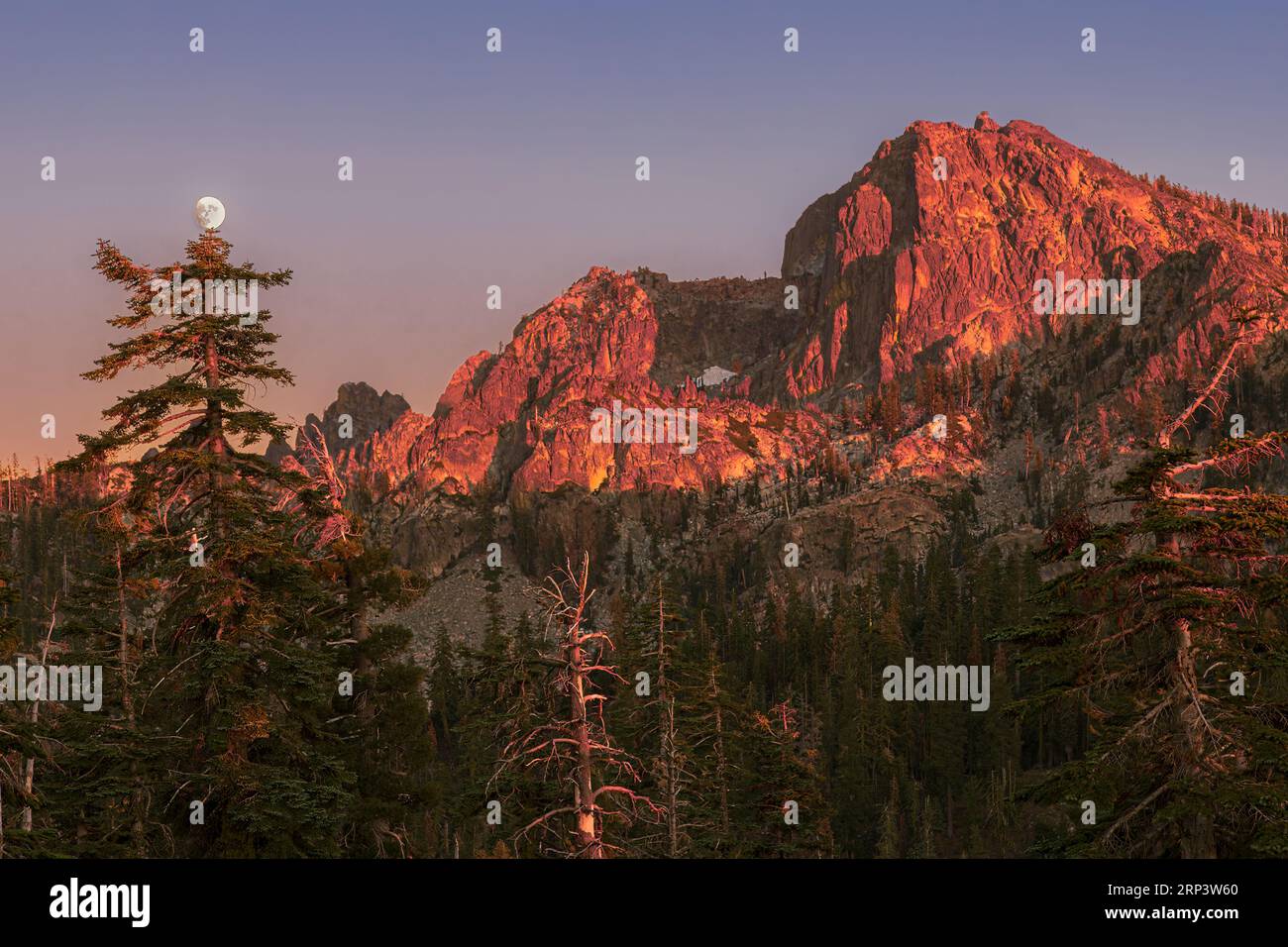 Packer saddle hi-res stock photography and images - Alamy