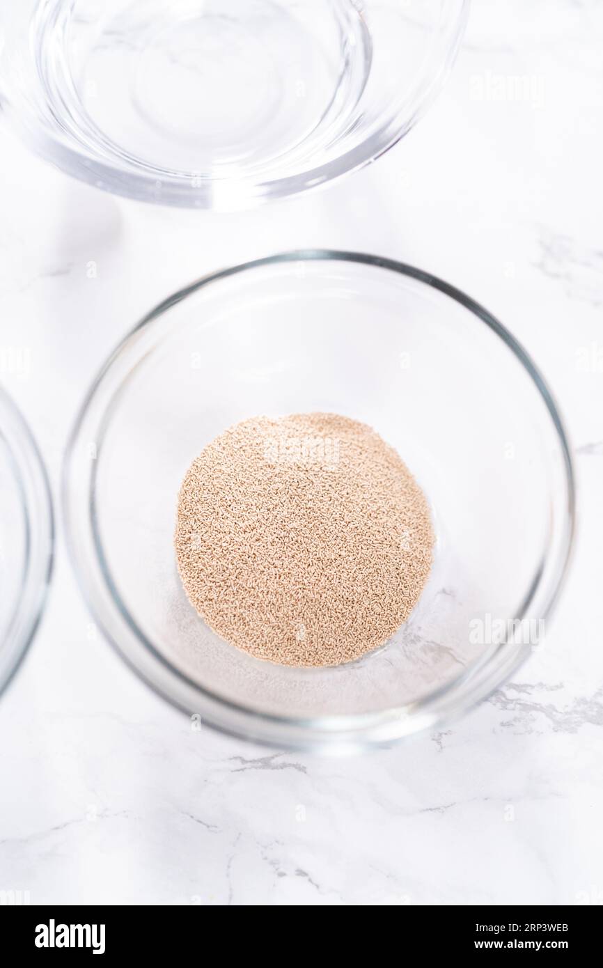 Activating dry yeast Stock Photo - Alamy
