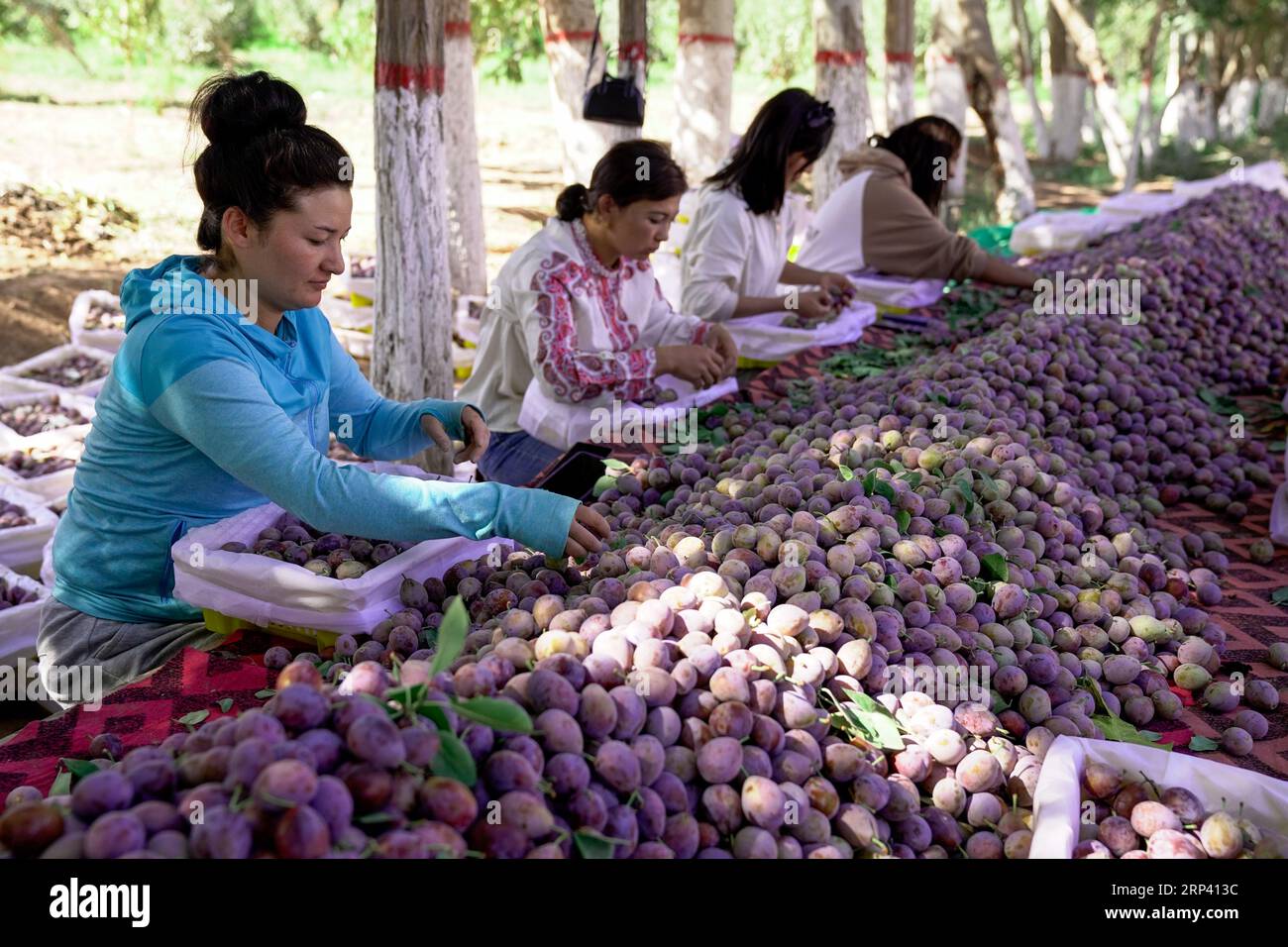 Efficiency pro hi-res stock photography and images - Alamy