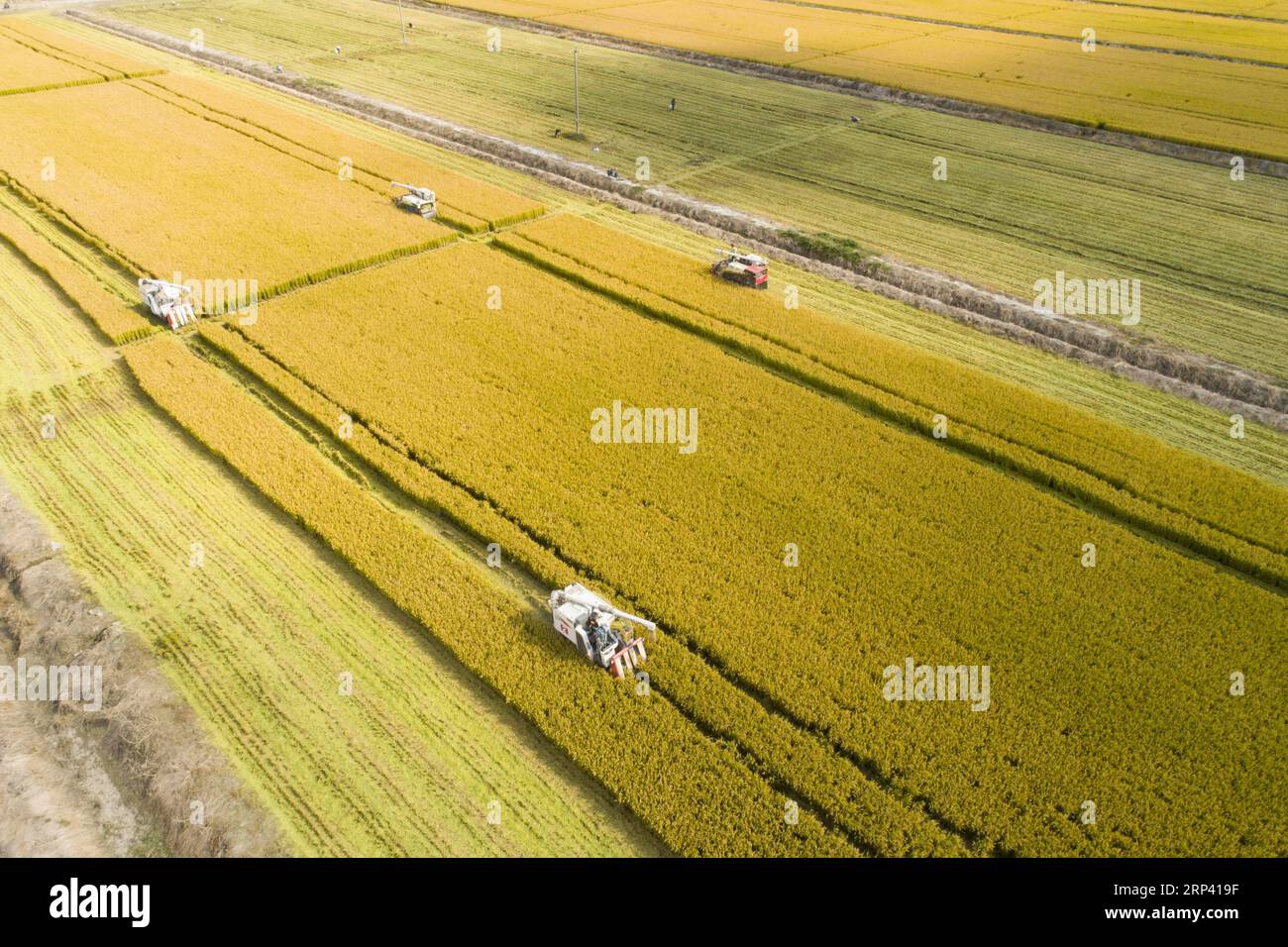 (181021) -- NANTONG, Oct. 21, 2018 (Xinhua) -- Aerial photo taken on ...