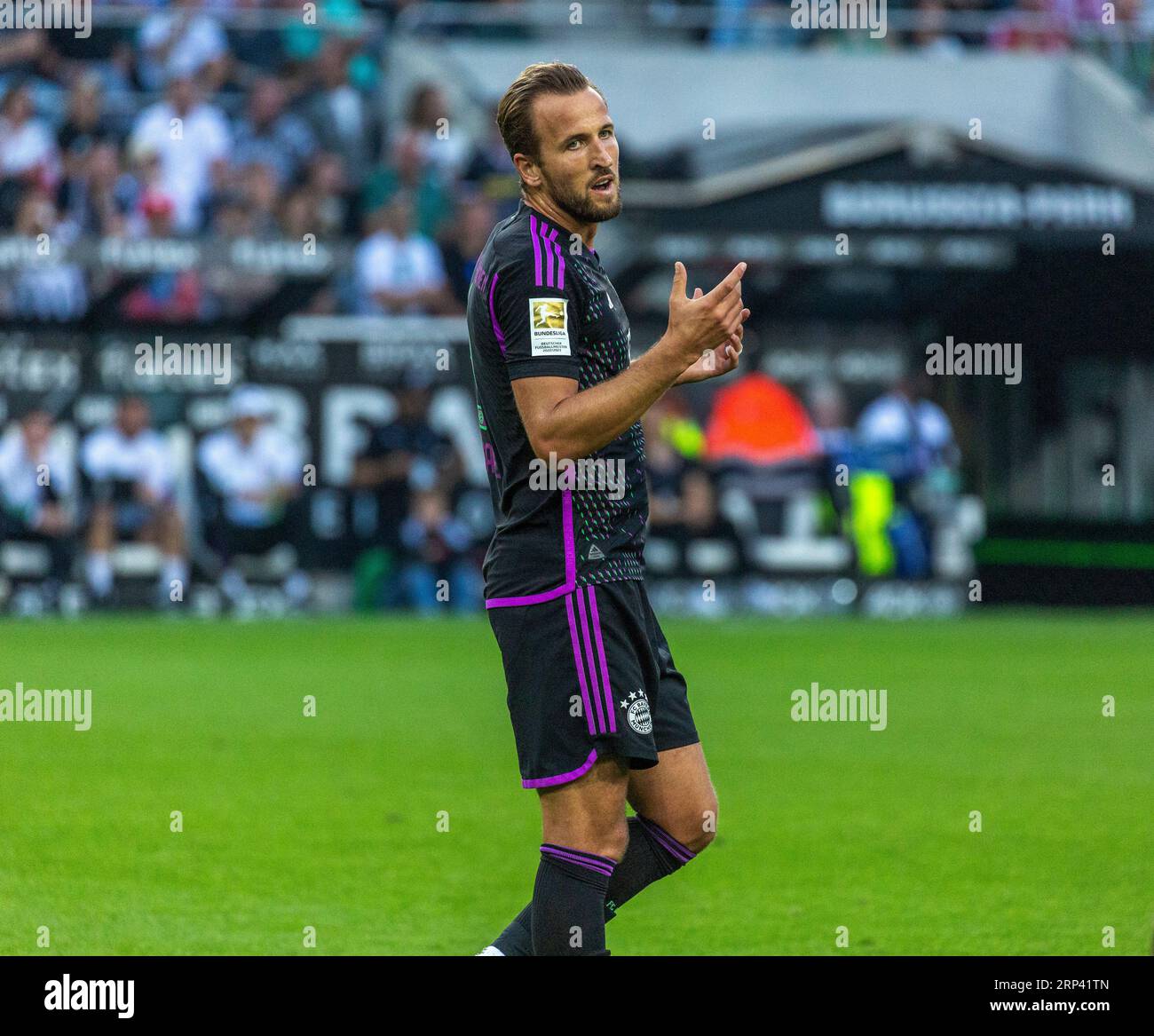 Harry kane 2024 hi-res stock photography and images - Alamy