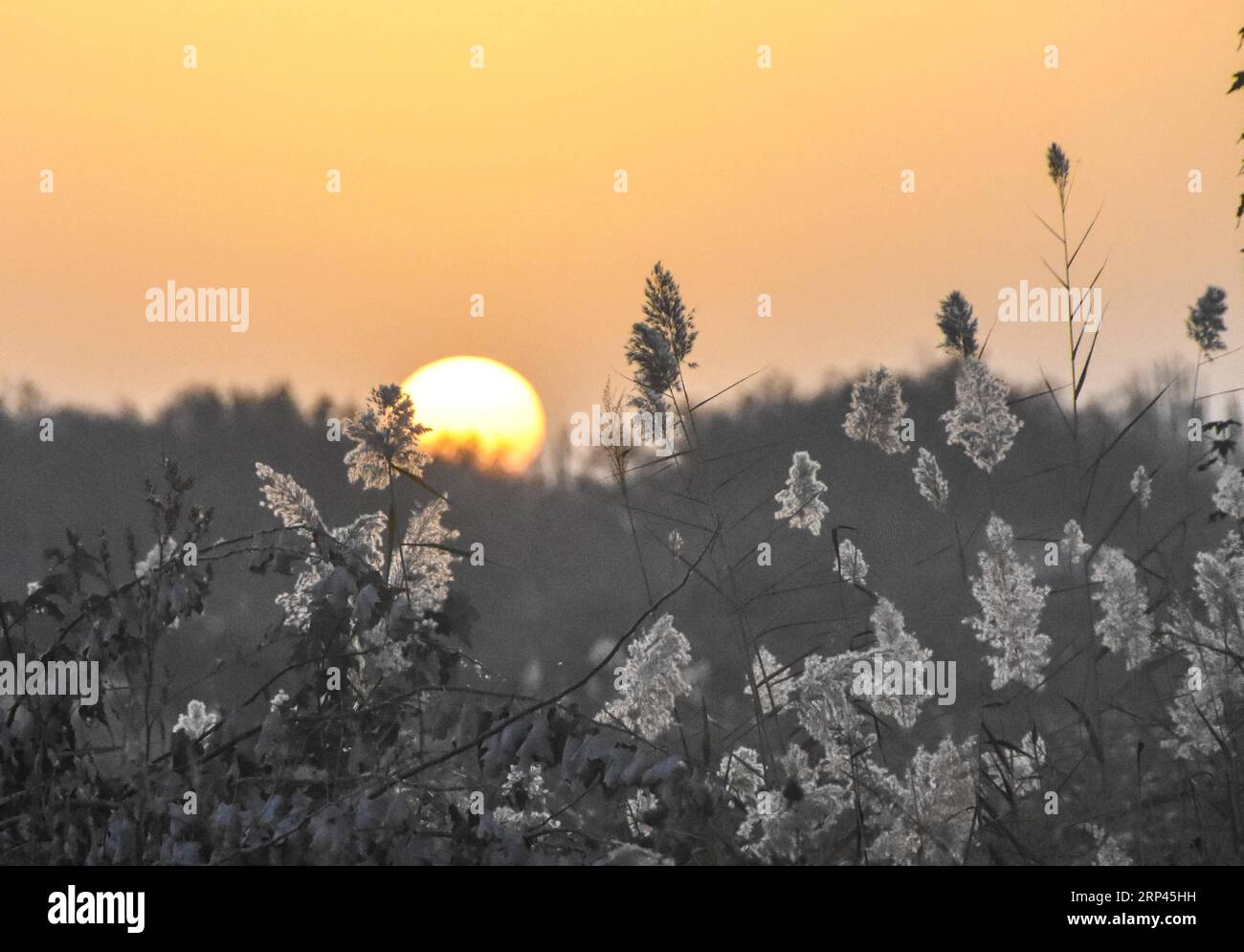 Bachu bachu county hi-res stock photography and images - Alamy