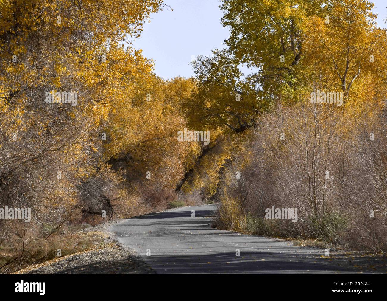 Urumqi middle road hi-res stock photography and images - Alamy