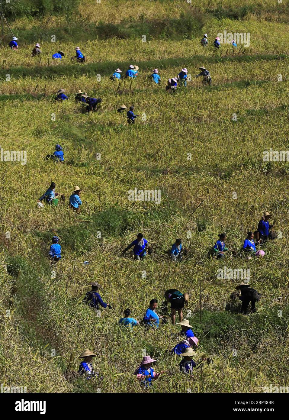 Antai hi-res stock photography and images - Alamy