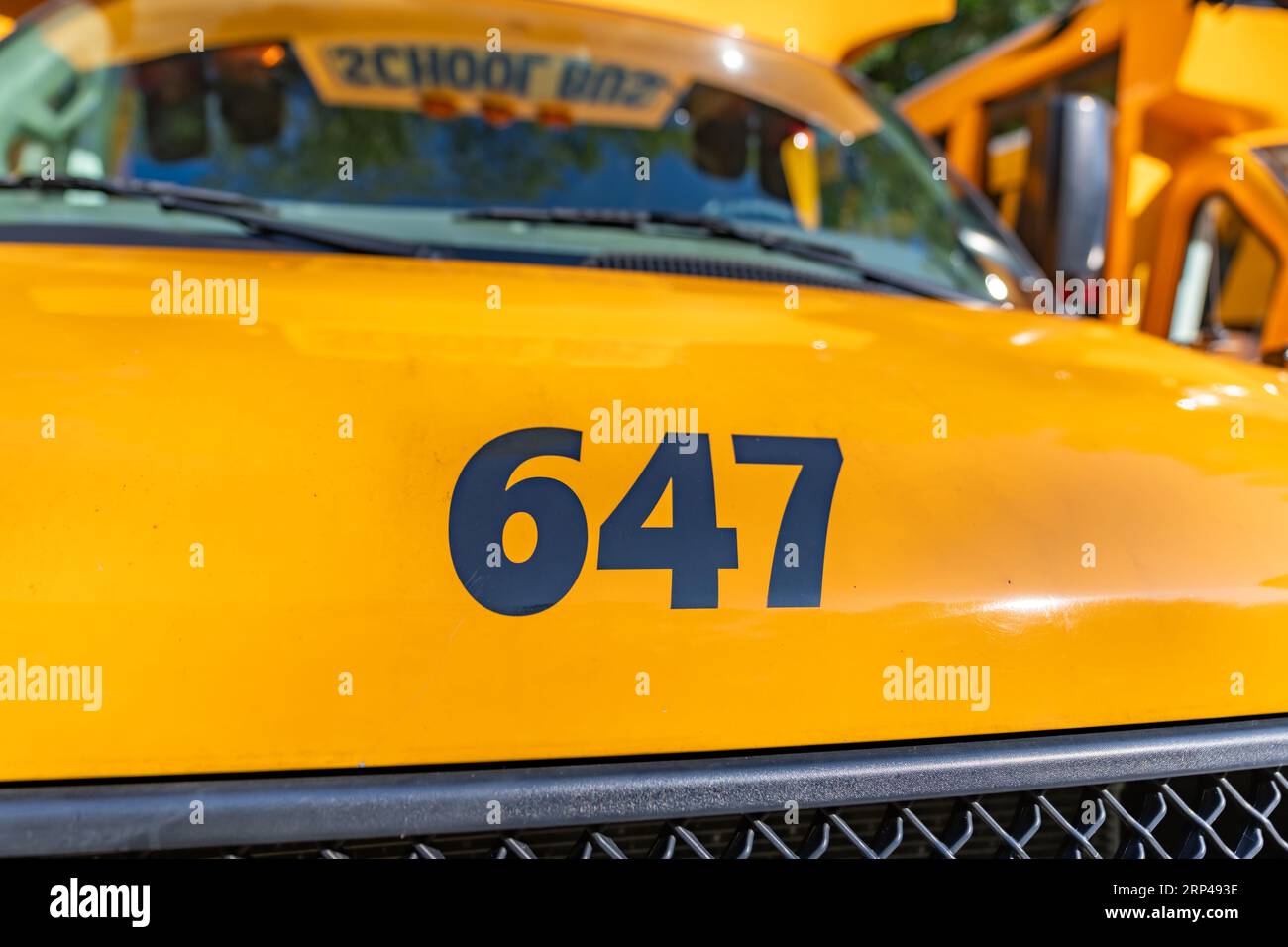 Front of a parked yellow school bus number 647 Stock Photo - Alamy