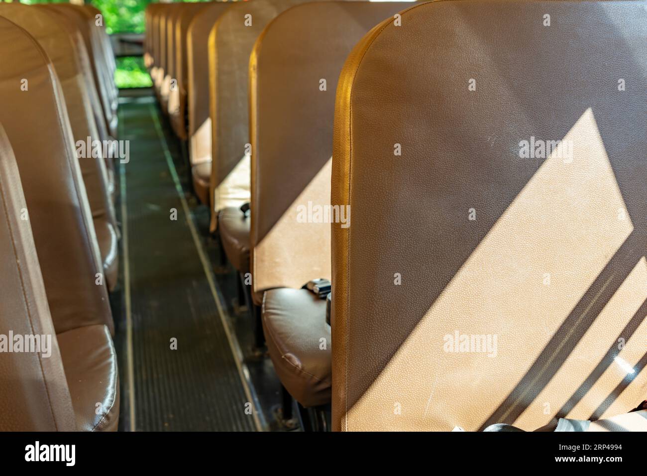 Pictures Of School Bus Inside at Claire Mcvicars blog